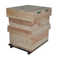 China Beeswax Foundation Two Layers 18mm Fir Bee Hive With 10 Frames for sale