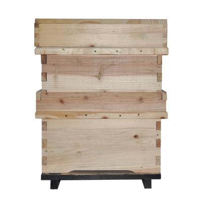 China Beeswax Foundation Two Layers 18mm Fir Bee Hive With 10 Frames for sale