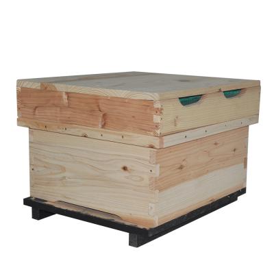 China 18mm Thickness Fir One Layer Bee Hive for sale