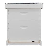China 20mm Thickness Fir Painted White Langstroth Bee Hive for sale