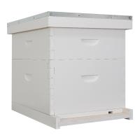 China 20mm Thickness Fir Painted White Langstroth Bee Hive for sale