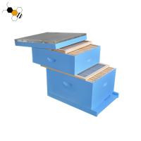 China Langstroth Painted Blue Beekeeping Beehive 10 Frames for sale