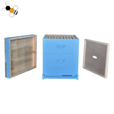 China 10 Frames Langstroth Pine Wood Bee Hive Equipment 20mm Thick for sale