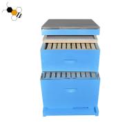 China 10 Frames Langstroth Pine Wood Bee Hive Equipment 20mm Thick for sale