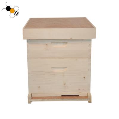 China Modular 10 Frames Langstroth Pine Wood Beehive 4 Layers for sale