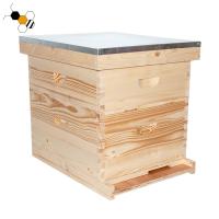 China Wax Coated Two Layers Wooden Langstroth Hive 10 Frame for sale