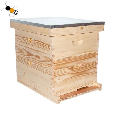 China Wax Coated Two Layers Wooden Langstroth Hive 10 Frame for sale