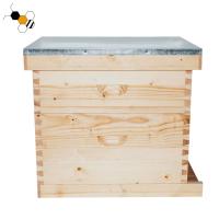 China Wax Coated Two Layers Wooden Langstroth Hive 10 Frame for sale