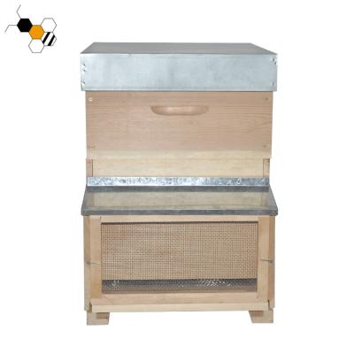 China 8 Frames Fir Wood Beehive Corrosion Resistant Honey Farming Box for sale