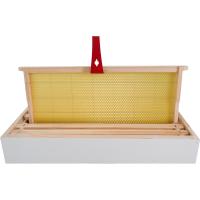 China Thick 20mm Beekeeping Tools 2 Layers Unassembled Pine Beehive for sale