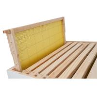 China Thick 20mm Beekeeping Tools 2 Layers Unassembled Pine Beehive for sale