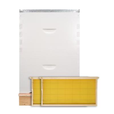 China Thick 20mm Beekeeping Tools 2 Layers Unassembled Pine Beehive for sale