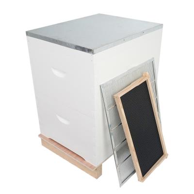 China Plastic Frame 20mm Thick Pine Beekeeping Beehive With Foundation for sale