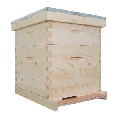 China Fir Dadant Beehive 24mm Beekeepers Unassembled Bee Hive for sale