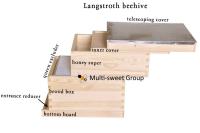 China Wooden 10 Frame Langstroth Bee Hive 20mm Thickness Unassembled for sale