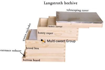 China Wooden 10 Frame Langstroth Bee Hive 20mm Thickness Unassembled for sale