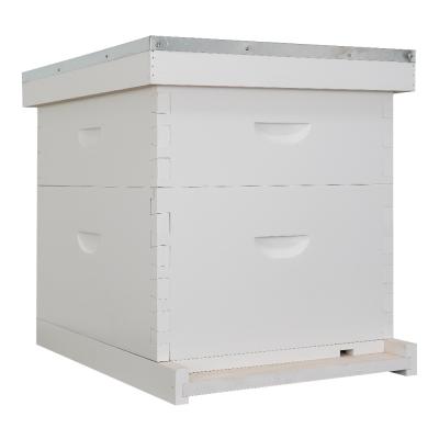 China Pine Wood 10 Frame Langstroth Beehive OEM UV Painting for sale