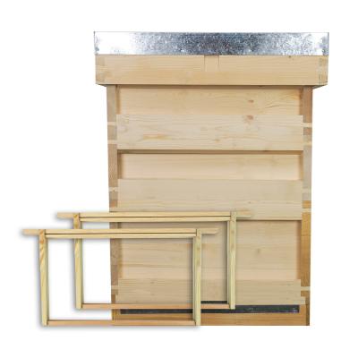China Crown Board National Bee Hive 3 Layers 11 Frame With Metal Roof for sale