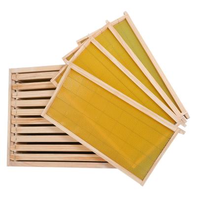 China 20mm Thickness Plastic Frame Complete Bee Hive Kit With Foundation for sale