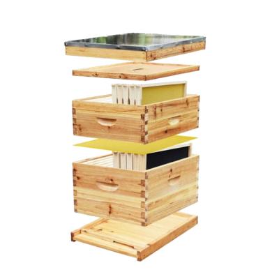 China 10 Frames Langstroth 2 Layers Complete Beehive Wax Coated For Beekeeping for sale