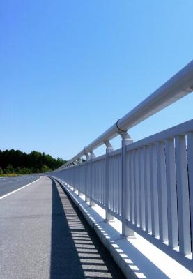 China Viaduct Riverside Bridge Guardrail Anti Humidity Corrosion Bridge Pedestrian Railing for sale
