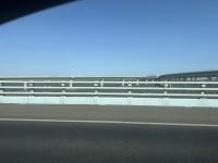 China Viaduct Riverside Bridge Guardrail Anti Humidity Corrosion Bridge Pedestrian Railing for sale