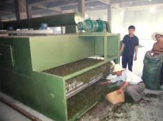 China DWT Series Drier for Vegetable Dehydration for sale