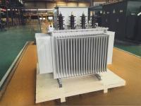 China 3 Phase Oil Immersed Power Transformer 750KVA ±2x2.5% Tapping Range for Stable and Safe Power Supply for sale