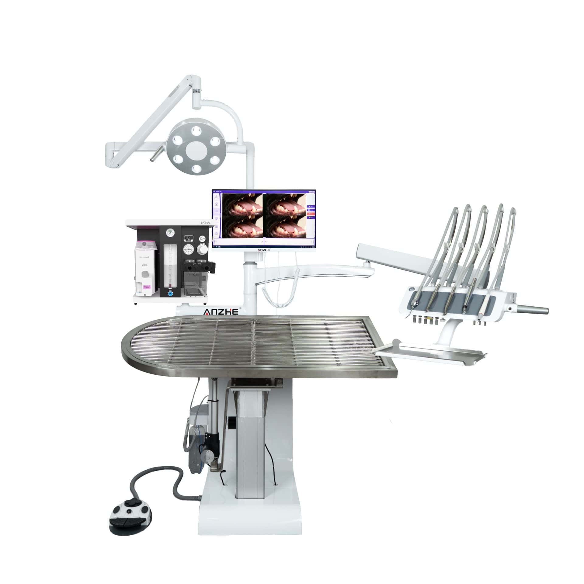 VE05 veterinary dental workstation with top-mounted dental tray, dental handpieces, computer, stainless steel treatment table and LED surgical light