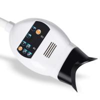 China Dental Chair Mounted Teeth Whitening Light 8 LED light Teeth Whitening Machine For Dental Clinic for sale
