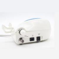 China Dental Teeth Clean Device Ultrasonic Dental Scaler LED Pets Dental Ultrsonic Scaler for sale