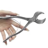 China Stainless Steel Dental Forceps Gypsum Plaster Scissors Dental Pliers With Serrated Blade for sale