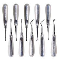 China 10pcs Dental Elevator Kit Dentist Surgical Tools Stainless Steel Dental Root Elevator for sale