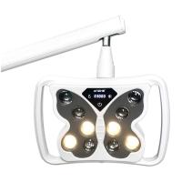 China Butterfly Shape Teeth Whitening Lamp Beauty Salon Dental Clinic Use 3 Model Dental Whitening Teeth Machine for sale