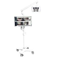 China 12W Teeth Whitening Machine For Salons 10 Eyes 3 Color Zoom Teeth Whitening Machine With PC for sale
