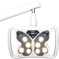 China 12W Teeth Whitening Machine For Salons 10 Eyes 3 Color Zoom Teeth Whitening Machine With PC for sale