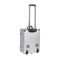 China Suitcase Design Vet Mobile Dental Therapy Unit Easy To Move Pet Teeth Treatment Equipment for sale