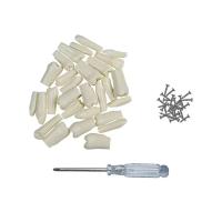 China 32pcs / Set Dental Typodont Replacement Teeth Dental Student Practice Tools Hardness Resin Teeth for sale