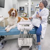 China Foshan Veterinary Equipment Factory Mobile Dental Delivery Unit Vet Use Dental Treatment Cart for Small Animals for sale