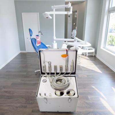China Hand-Held Design Portable Dental Unit 220V Pull Rod Dental Delivery Unit With Dental Handpiece Curing Light And Dental Scaler for sale