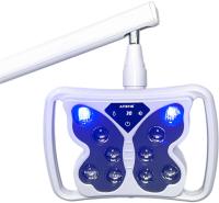 China Beauty Salon Teeth Whitehing Machine Blue Light 10 Eyes Teeth Bleaching Machine Mobile Dental Teeth Whitening Lamp for sale