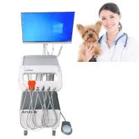 China Mobile Dental Work Table for Veterinary Therapeutic Equipment Animal Teeth Care Mobile Dental Cart for sale