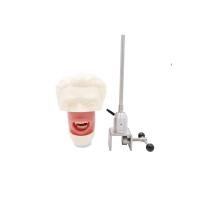 China Dental Teaching Tooth Model Dental Simulator System Phantom Head for Training New Dental Implant Simulator Head for sale