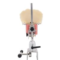 China Dental Teaching Tooth Model Dental Simulator System Phantom Head for Training New Dental Implant Simulator Head for sale