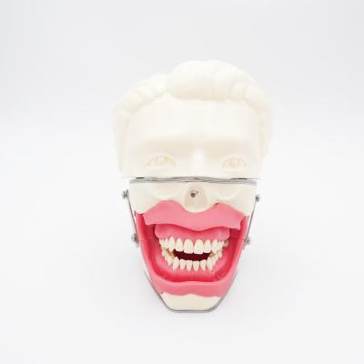 China Oral Anesthesia Training Model Realistic Gum Jaw Simulation for Injection Practice Dental Conduction Anesthesia Model for sale