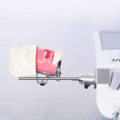 China Advanced Oral Phantom Head Dental Teaching Head Model Dental School Desktop Practice Dental Training Simulator for sale