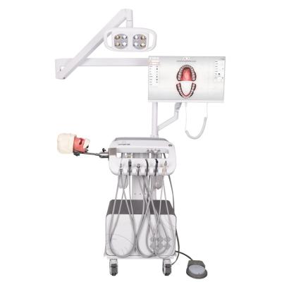 China Dental Simulator Education Unit Dental School Simulation Practice System Dental Implant Phantom Head for sale