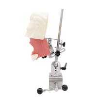 China Dental Simulator Education Unit Dental School Simulation Practice System Dental Implant Phantom Head for sale