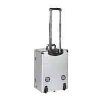 China Pet Dental Treatment Unit Portable Portable Veterinary Mobile Dental Unit with air Compressor for sale