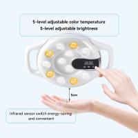 China Dental Surgical LED Lamp for Dental Chair Oral Therapy Lamp12pcs Dual-color LED Dental Light for sale